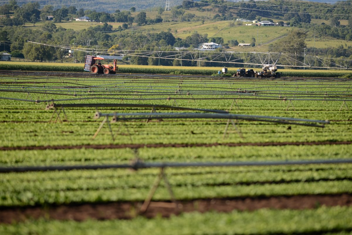 Digital Irrigation Advisory Systems: Enabling Extension and Advisory ...